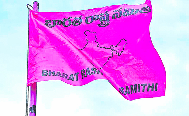 బీఆర్‌ఎస్‌ నుంచి లోక్‌సభకు కొత్త వారే.. | BRS Special Focus on Lok Sabha Elections | Sakshi